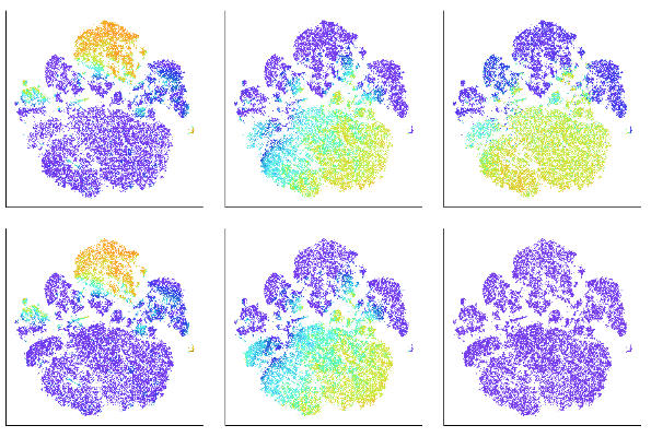Cytorum Cell Analysis Services and Products