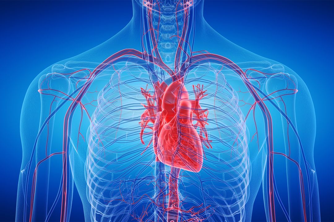 Right vs. Left Heart Failure: What You Should Know | Carda Health