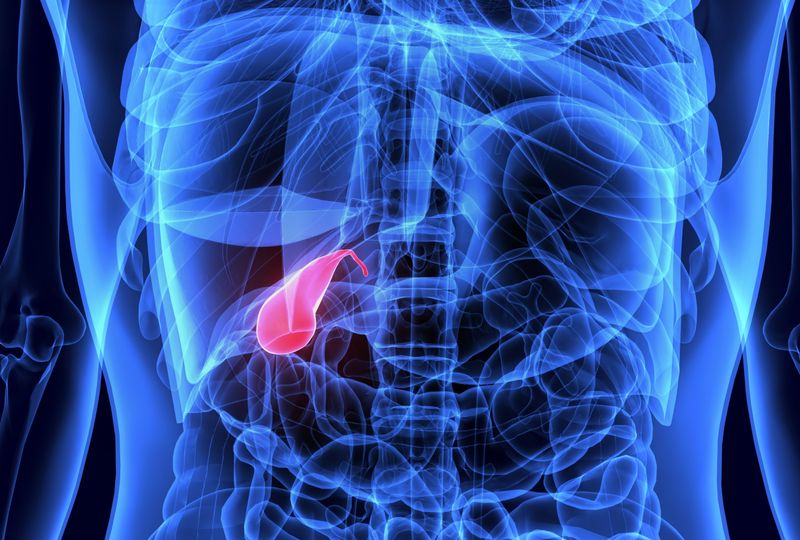 What Side Is the Gallbladder On? | Carda Health