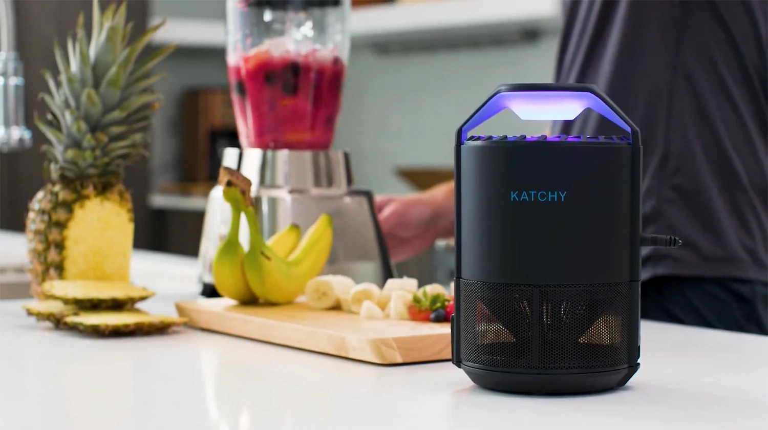 KATCHY indoor insect trap REVIEW | Let's Review