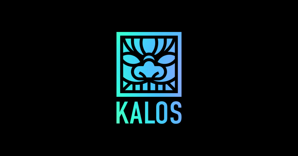 Team - KALOS, Blockchain & Smart Contract Security Audit