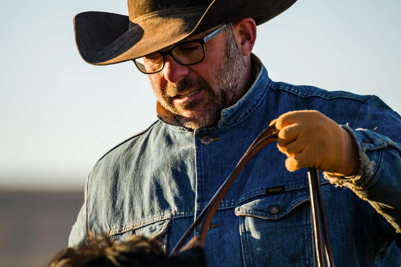The Beaverhead and Selkirk - Matador Ranch and Cattle
