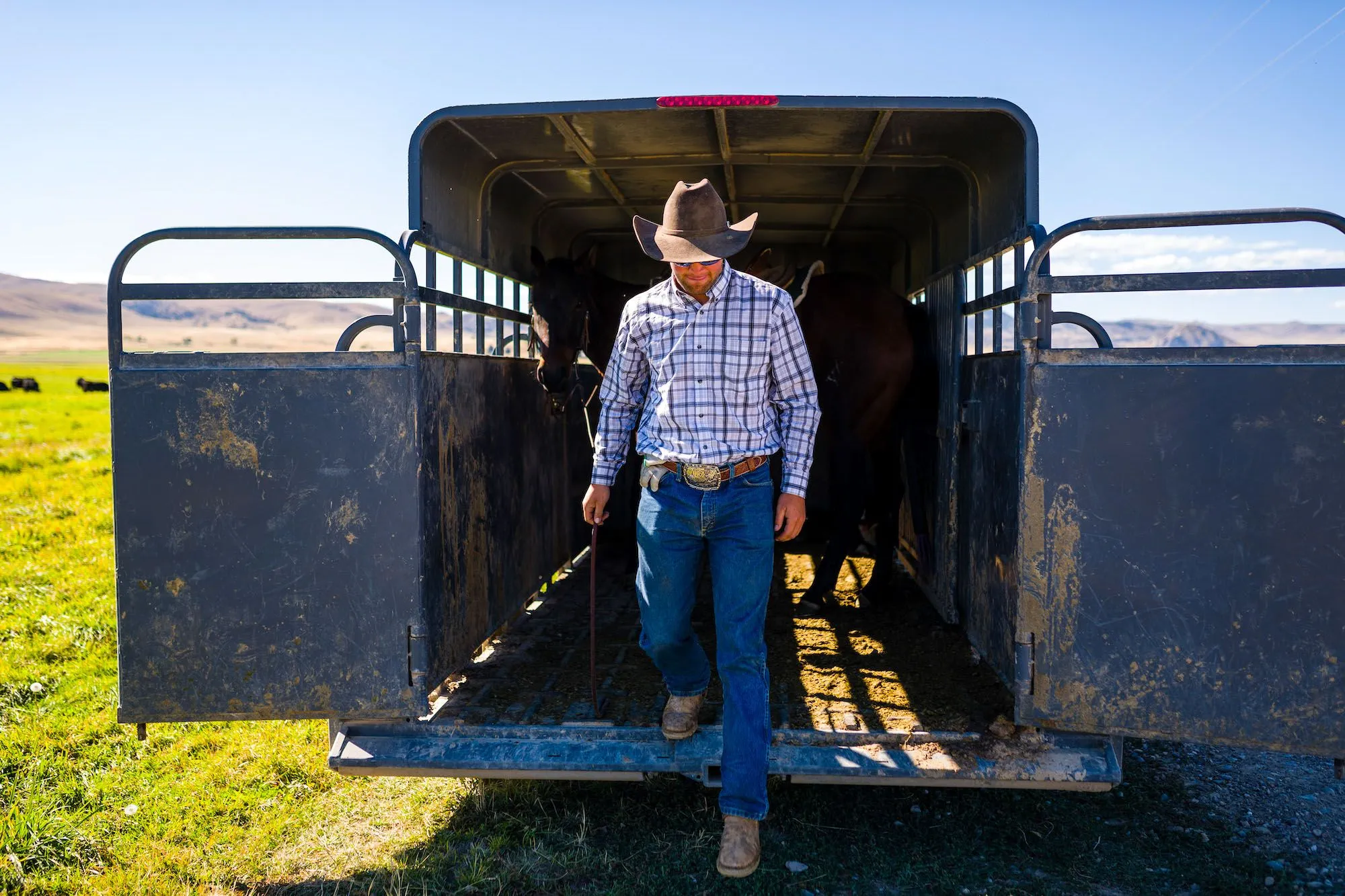 The Beaverhead and Selkirk - Matador Ranch and Cattle