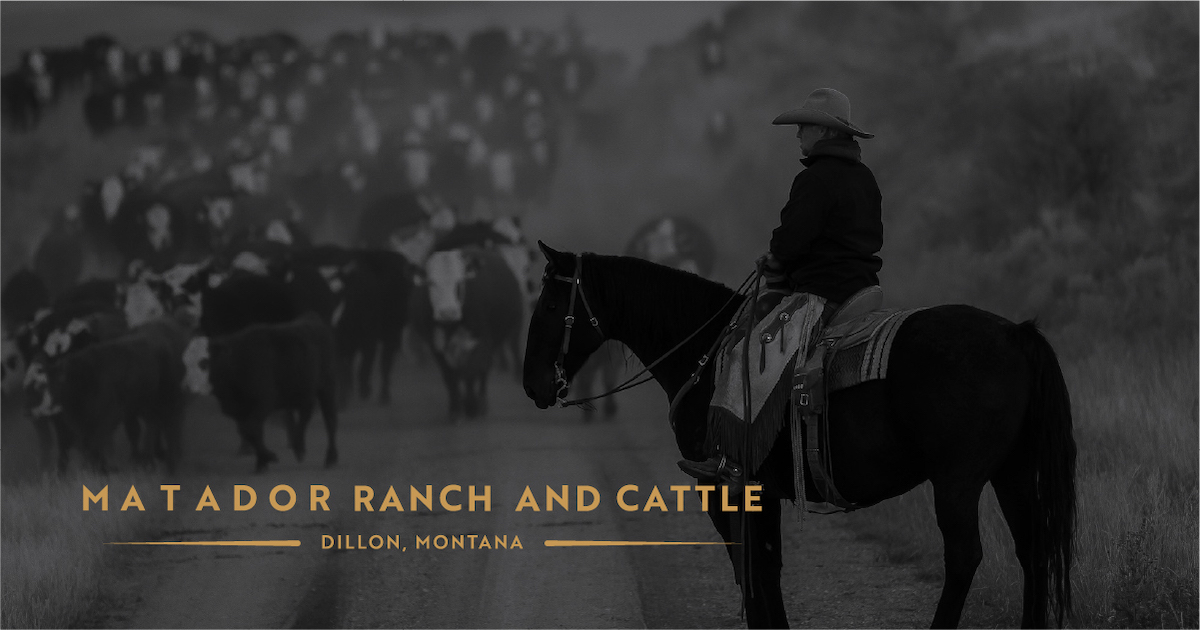 Matador Ranch & Cattle | Where Nature & Agriculture Thrive