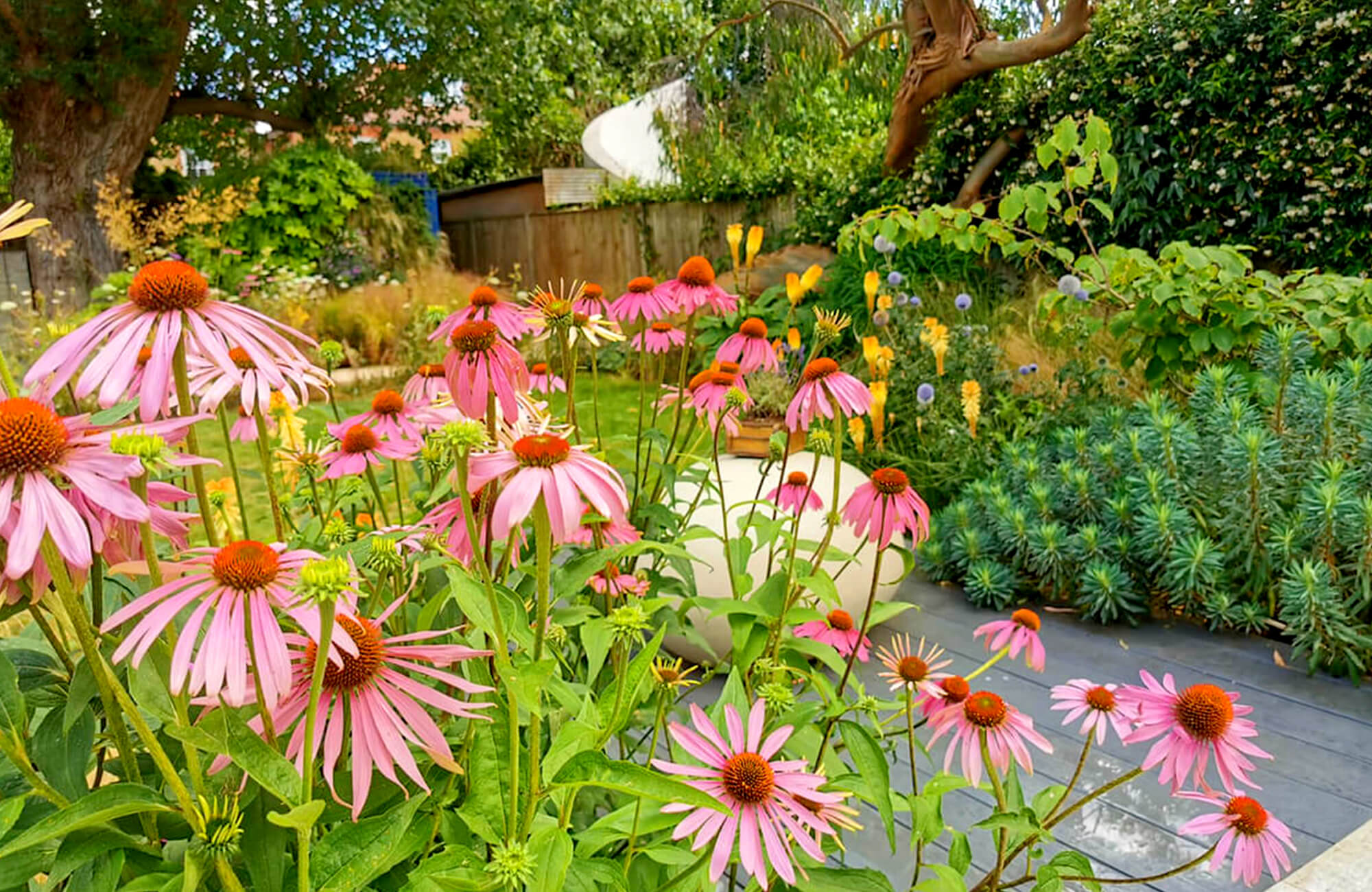 RHS Chelsea Flower Show 2023 - Landscape + Garden Design by Harry ...