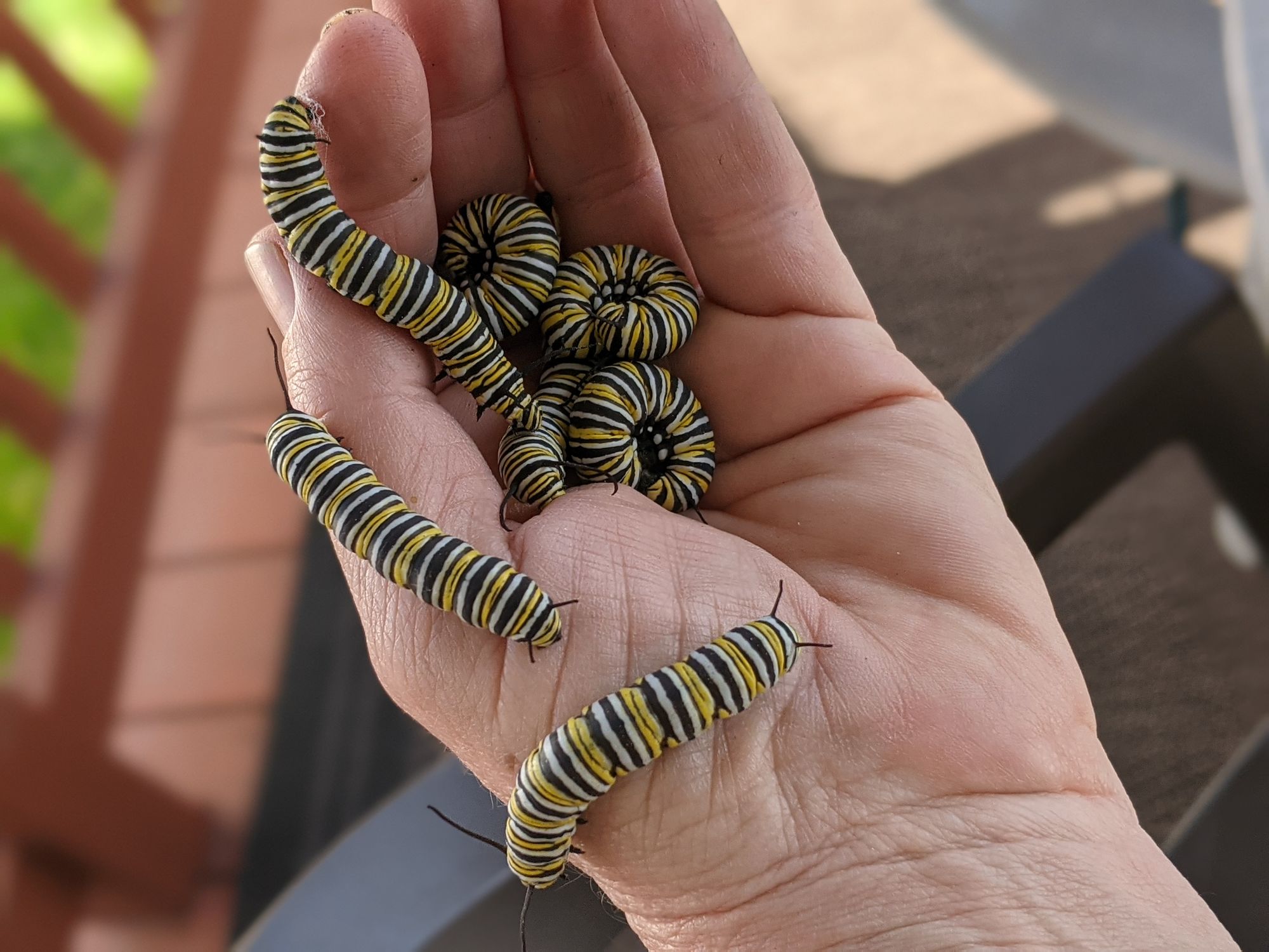 ATS Club | After School STEM Programs