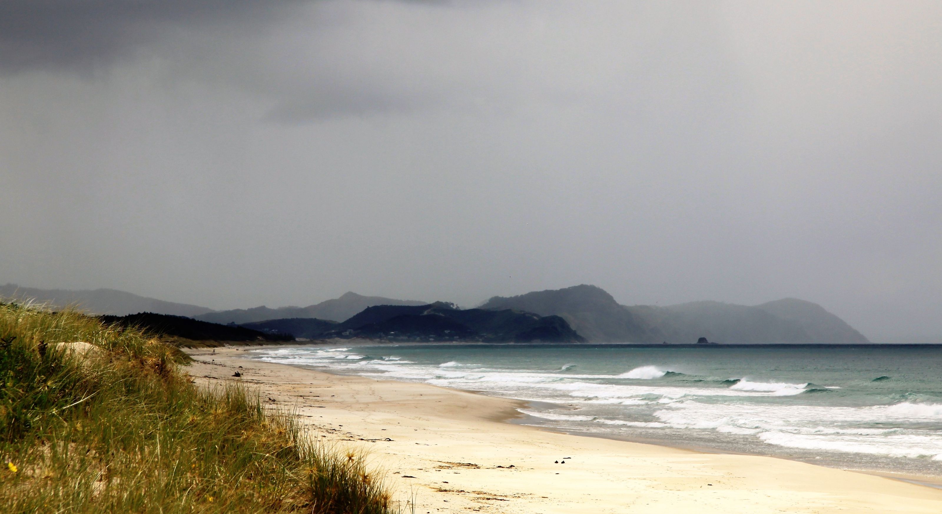 Things to do in Te Arai