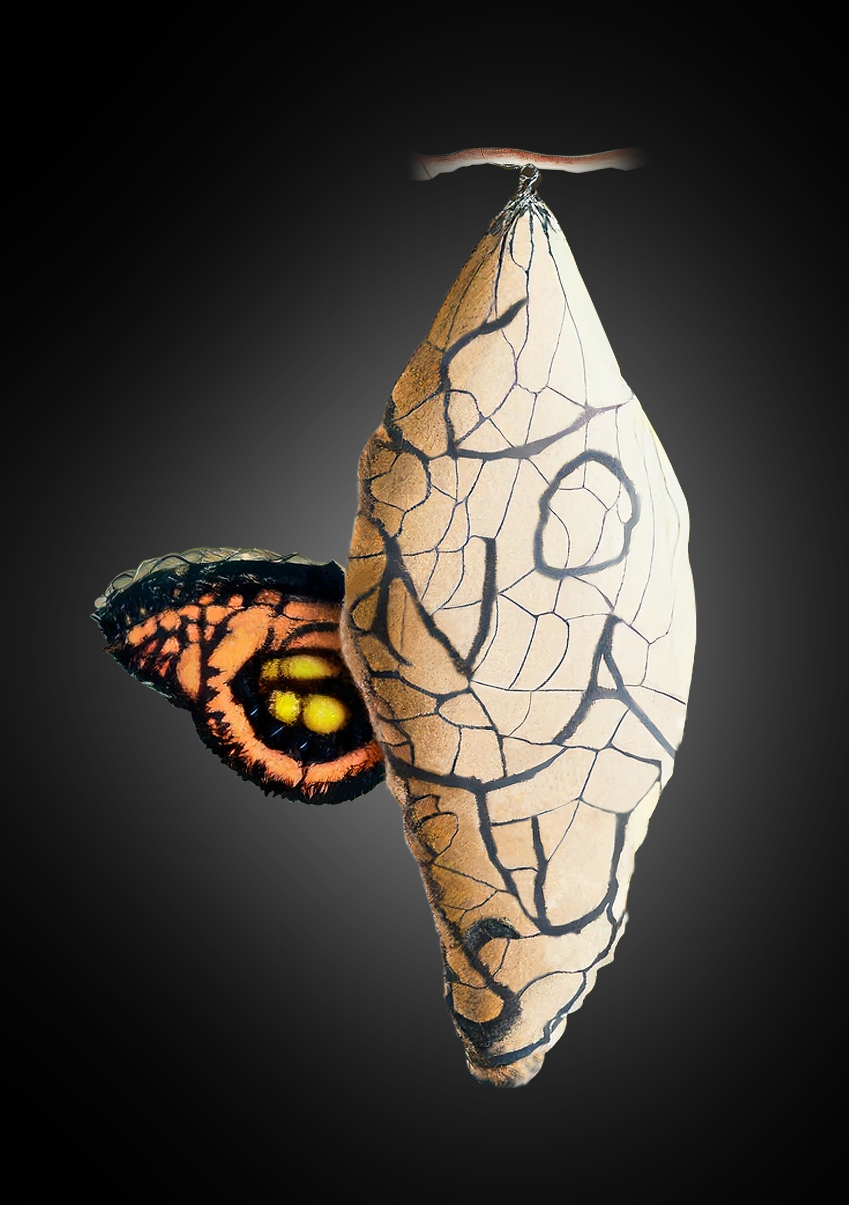 Ayca Dogan Ozis - Exhibition | ideec