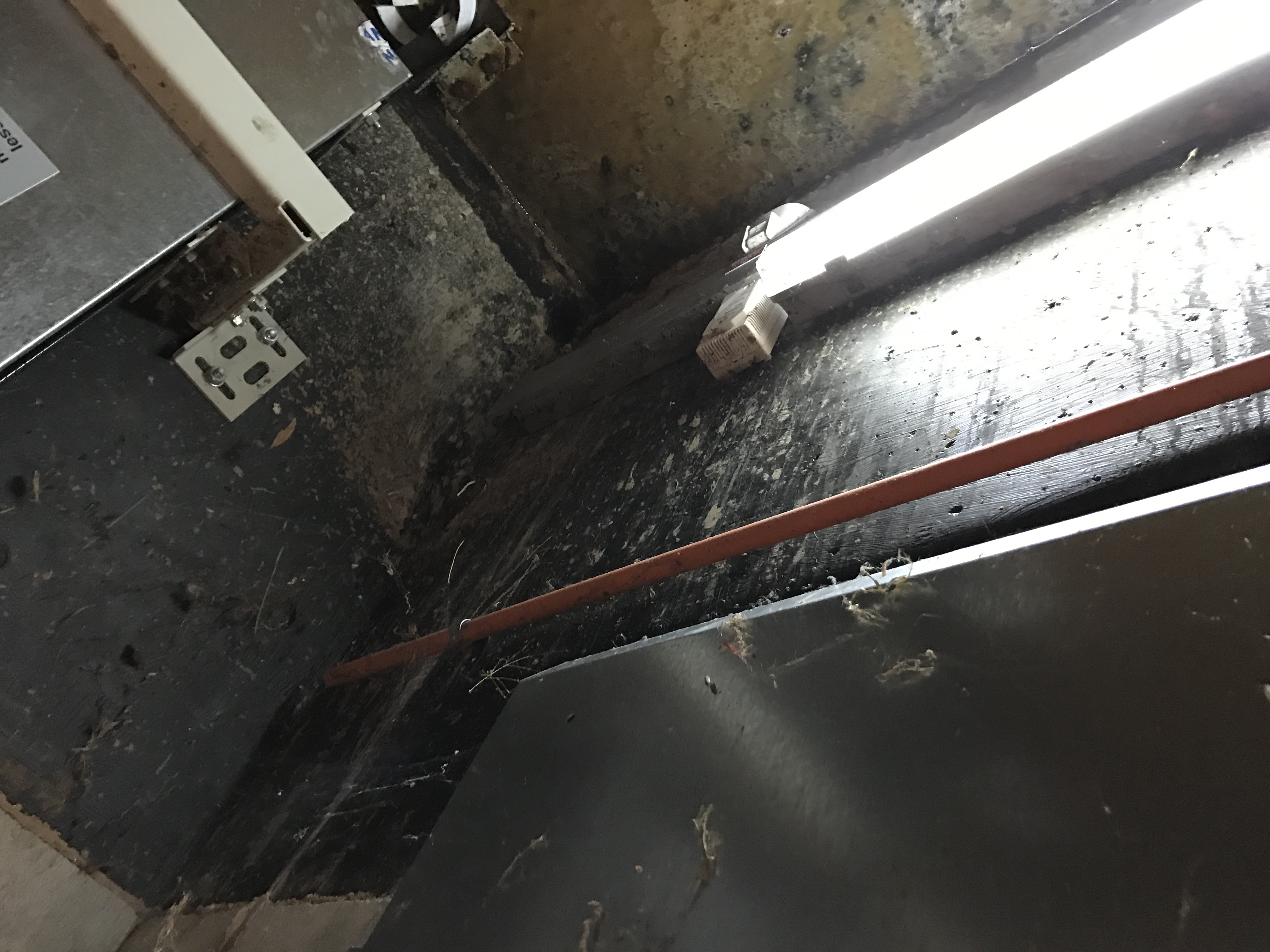 Cowra High School (Lift Pit) - Premier