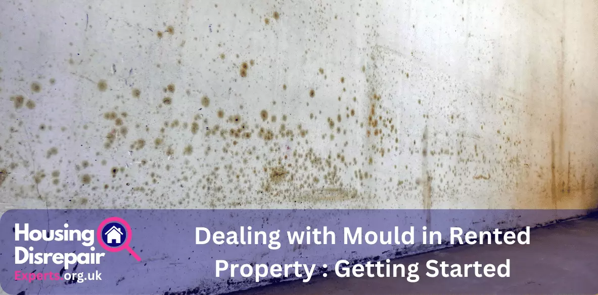 A Tenant's Guide to Dealing with Mould in Rented Property | Housing ...