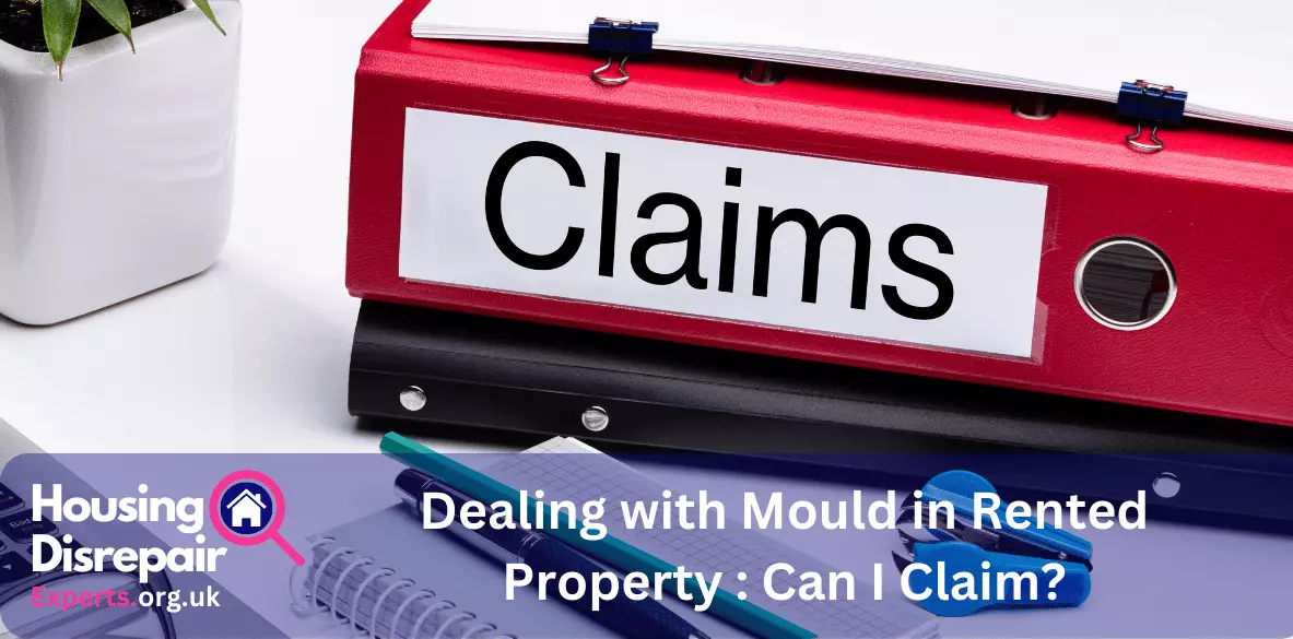 A Tenant's Guide to Dealing with Mould in Rented Property | Housing ...