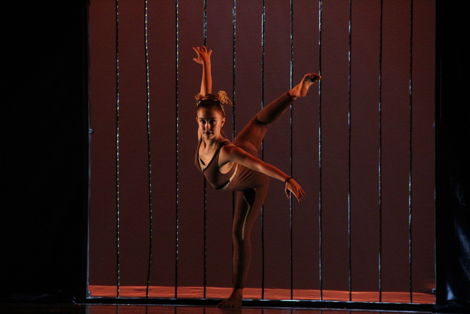 Dance Theater of Florida