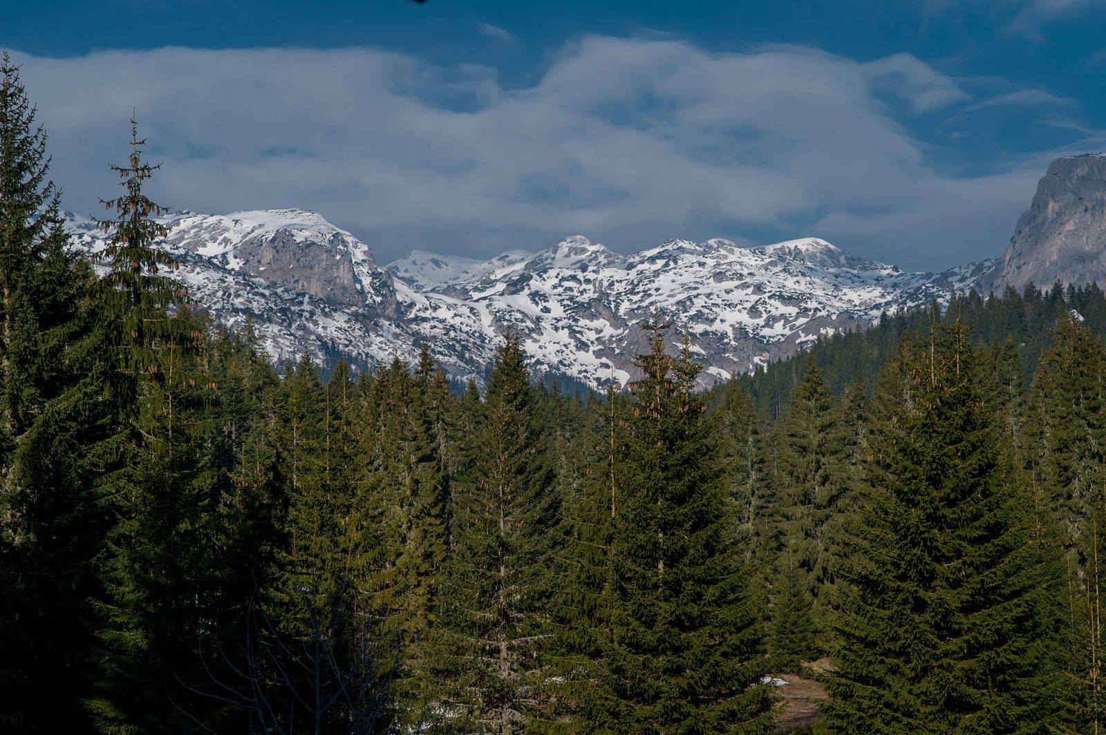 Contact - Hotel SOA - Zabljak - Durmitor - Montenegro