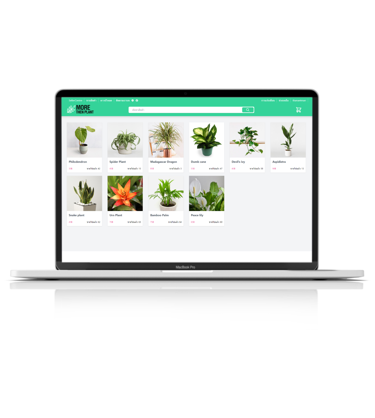 MERCIL | Tailor-made Software Solution