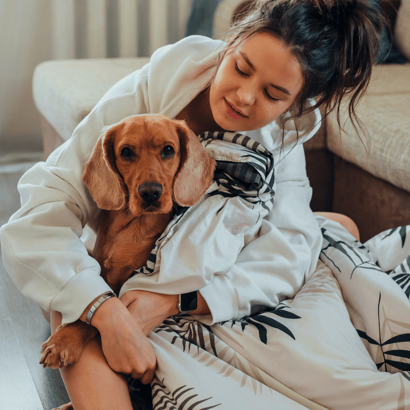 Veterinary services in Toronto | Juno Veterinary