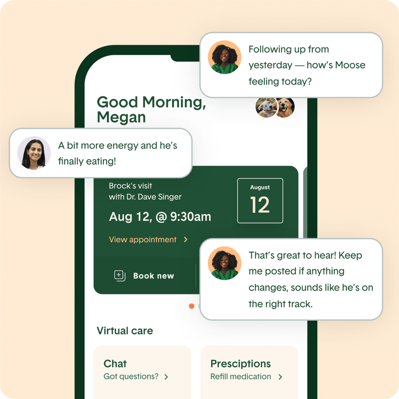 A new kind of Toronto vet clinic | Juno Veterinary