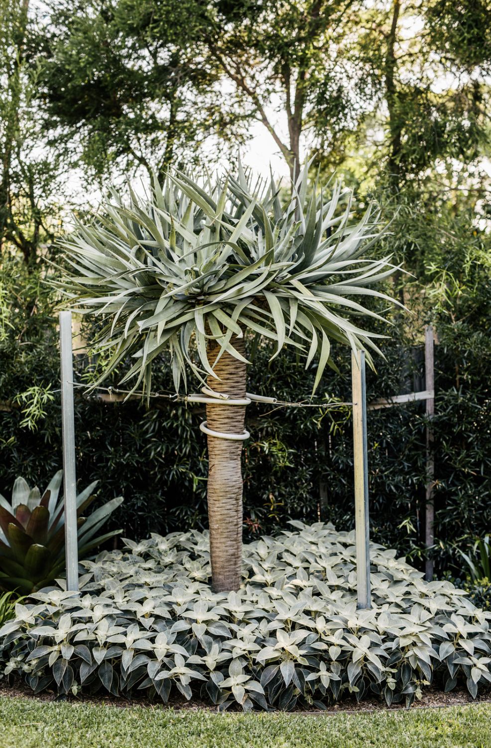 Family Friendly Landscape Design - Harrisons Landscape