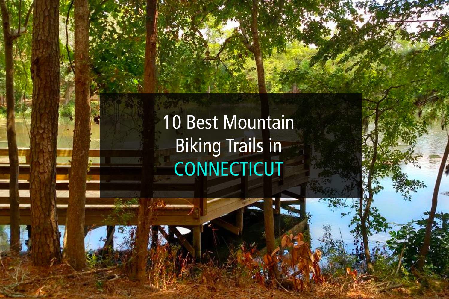 10 Best Mountain Biking Trails in Connecticut | Intermountain Bikes