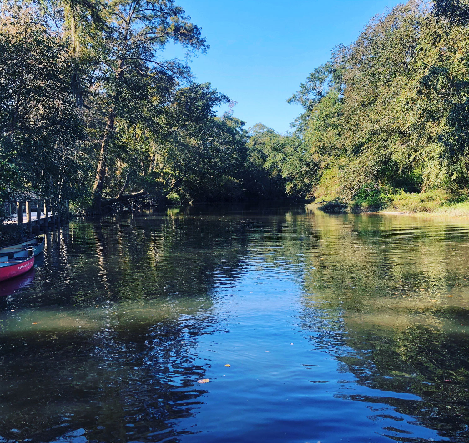 Forerunner - Your Floodplain Management Platform