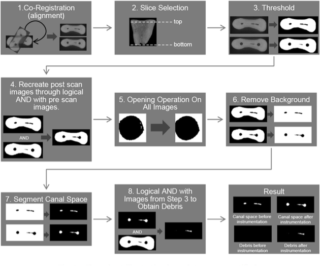 Case study: Medical image analysis tool | Invisto - Your Interface partner