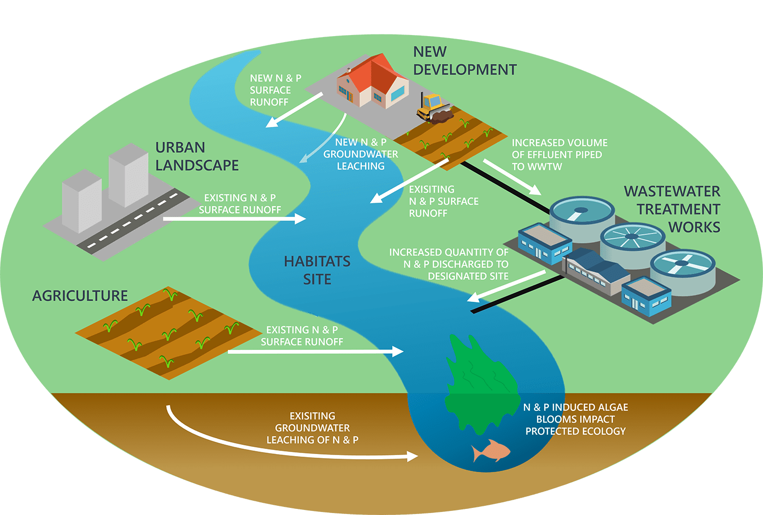 Nutrient Neutrality Mitigation: The Latest Updates