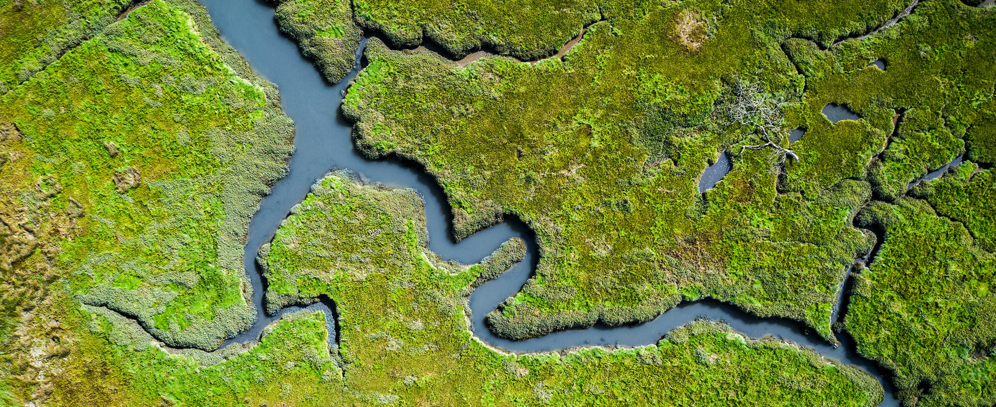 Balancing ecological impact with nutrient neutrality