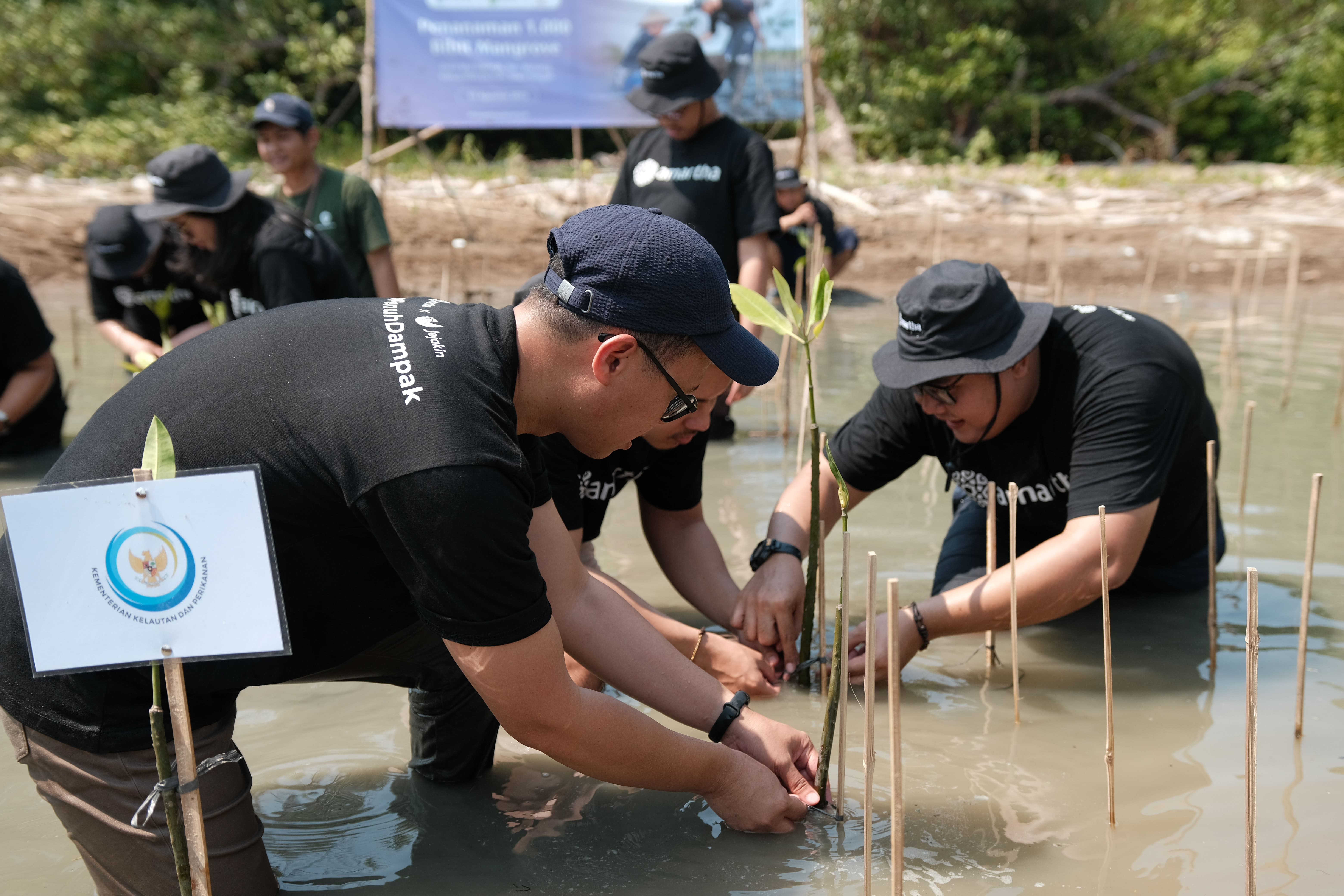 #TanamPenuhDampak Initiative, Amartha’s Pursuit of Environmental ...