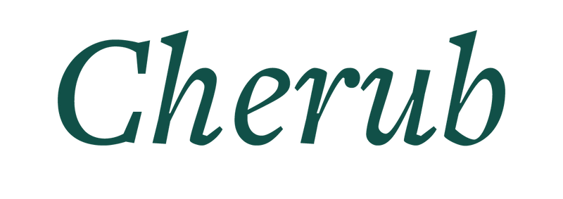 Cherub | Angel Investing & Startup Funding Made Easy