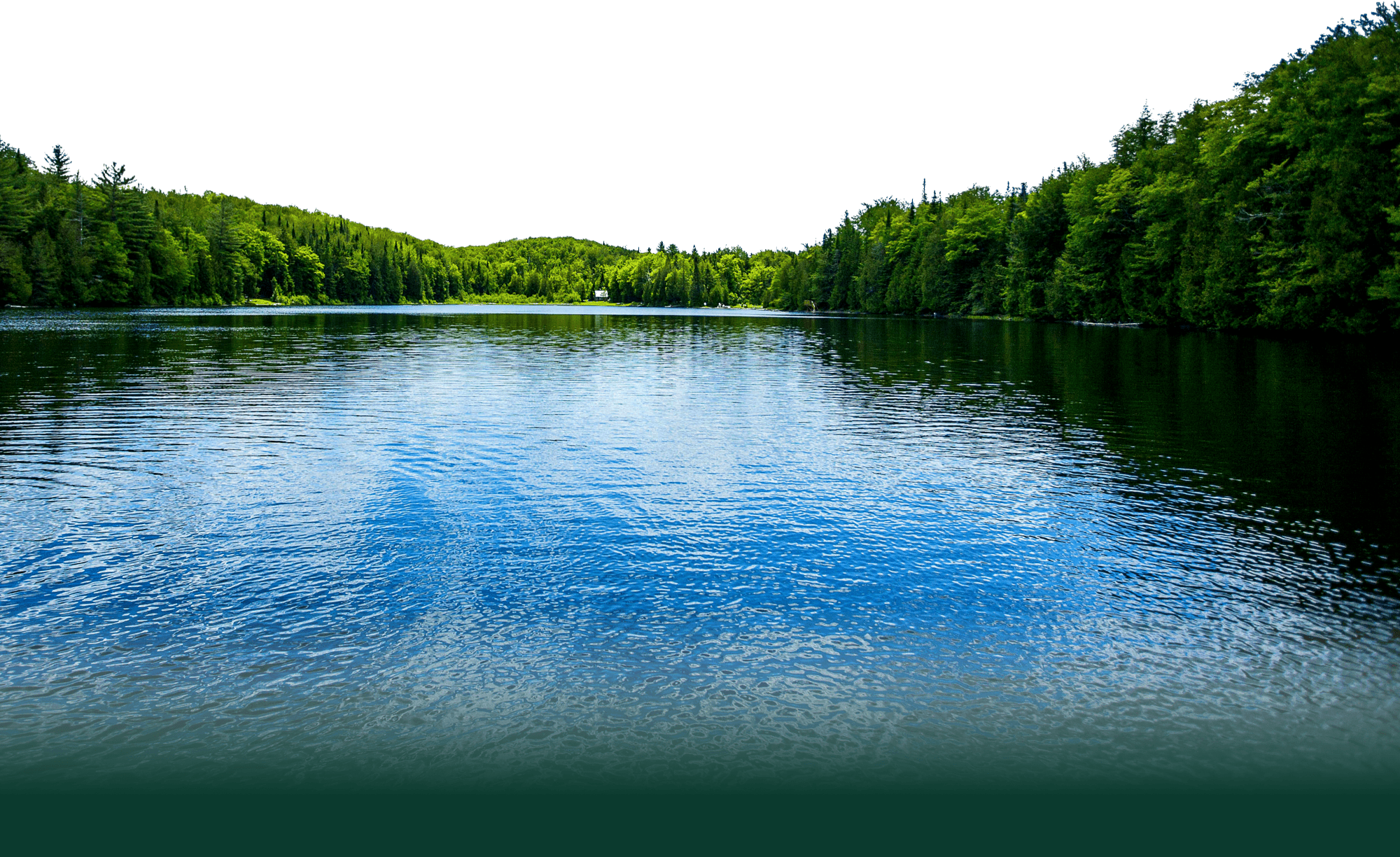 Dholakia Foundation - Sustainable Development in India