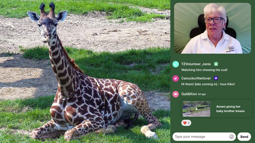 Toronto Zoo | zoolife