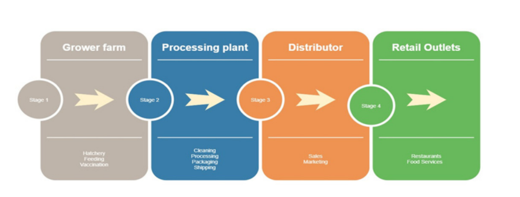 Spydra Blog | Blockchain & Poultry Sector: What's the Deal?
