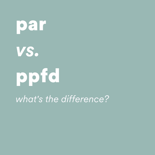 Krado | Sense your plant’s needs with leaflet