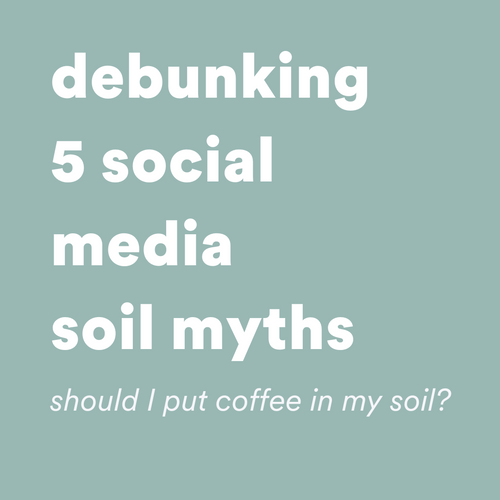 Krado | Sense your plant’s needs with leaflet