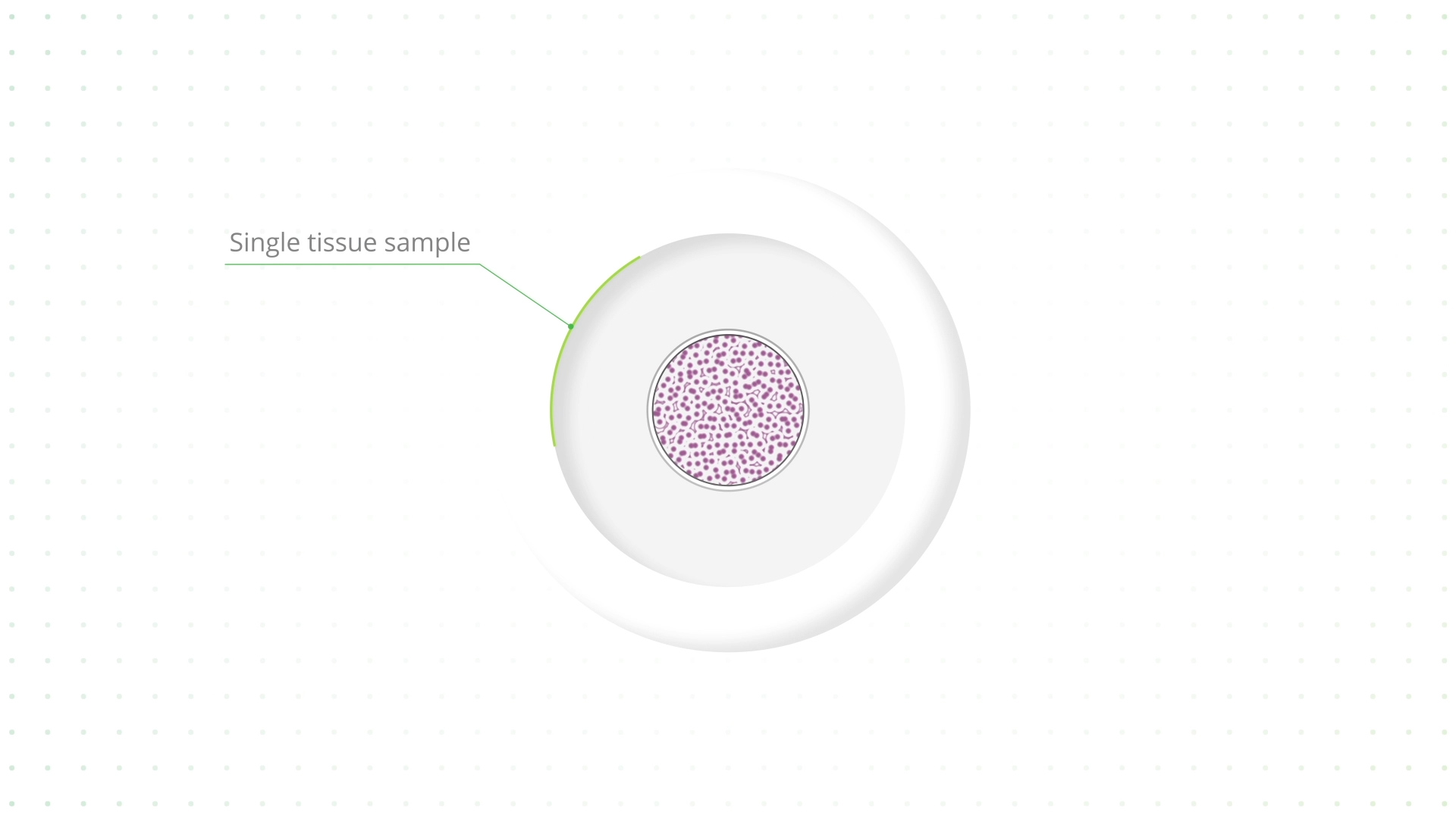 Explain Life Science