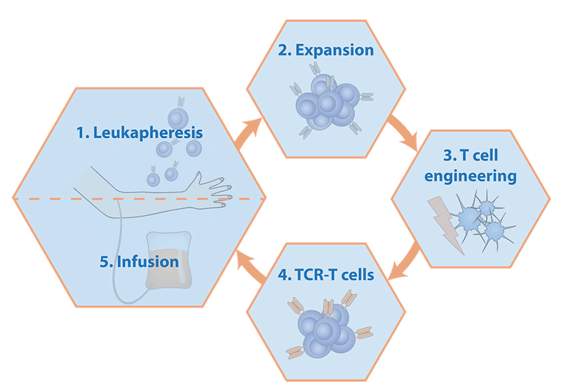 LionTCR | Technology