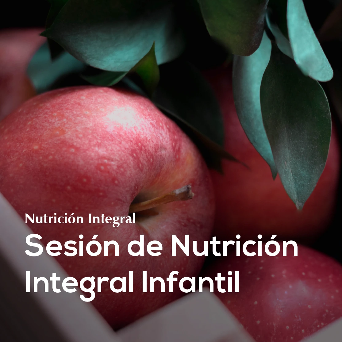Servicios de medicina integral