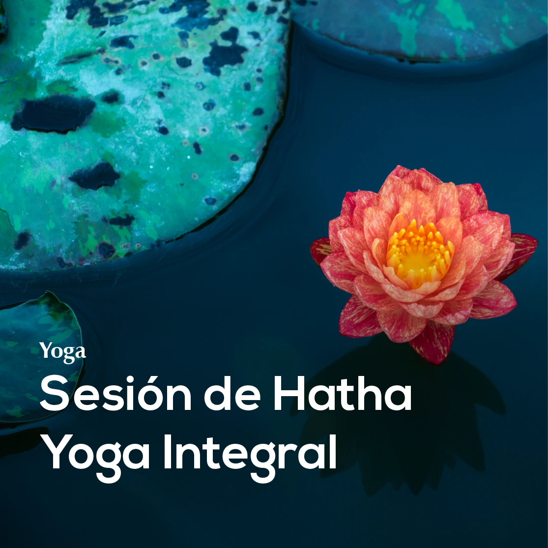 Servicios de medicina integral
