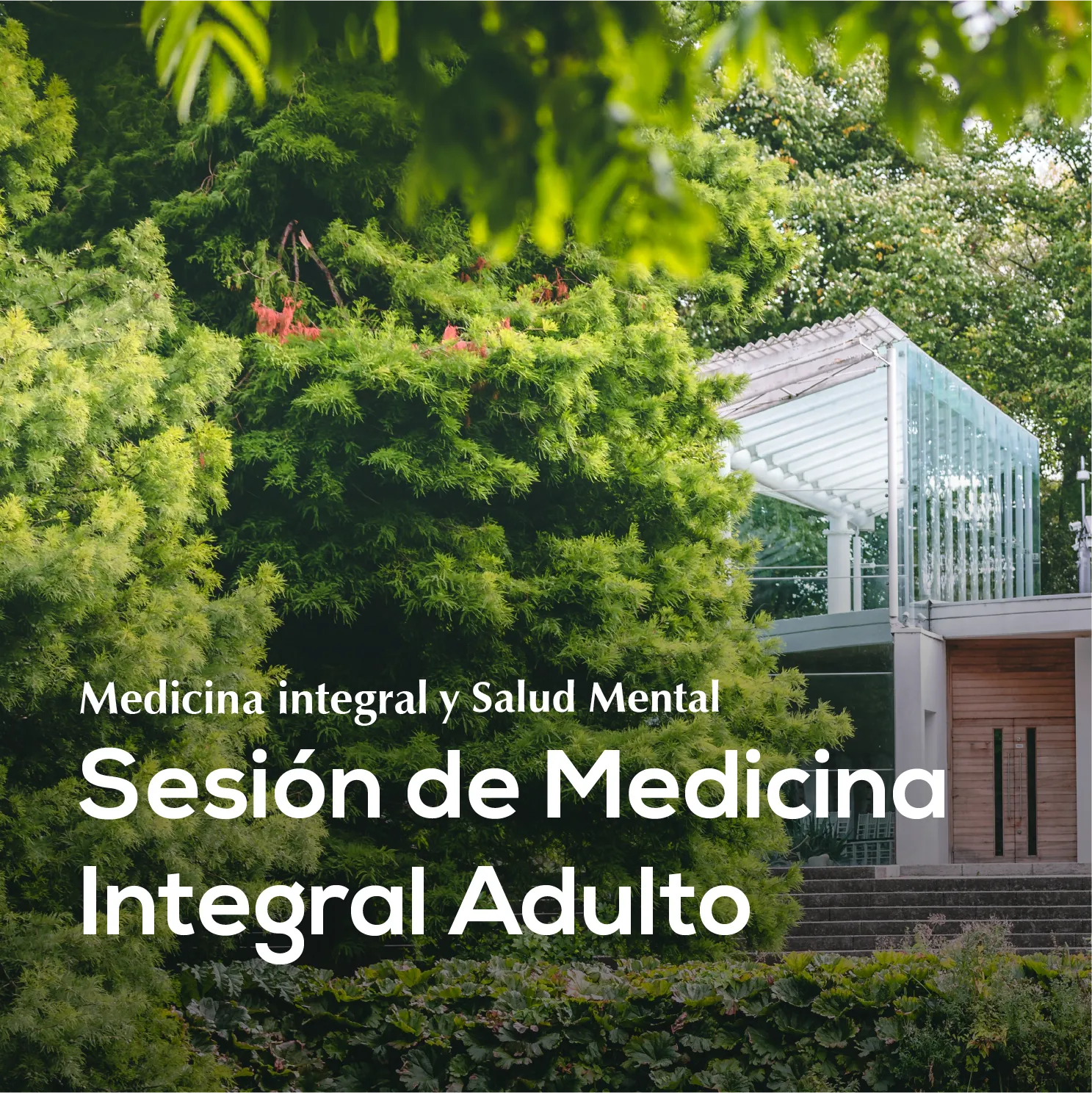 Servicios de medicina integral