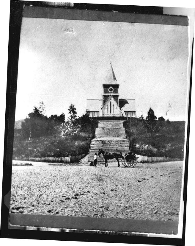 Nelson: Town of History and Trees - A Maverick Traveller