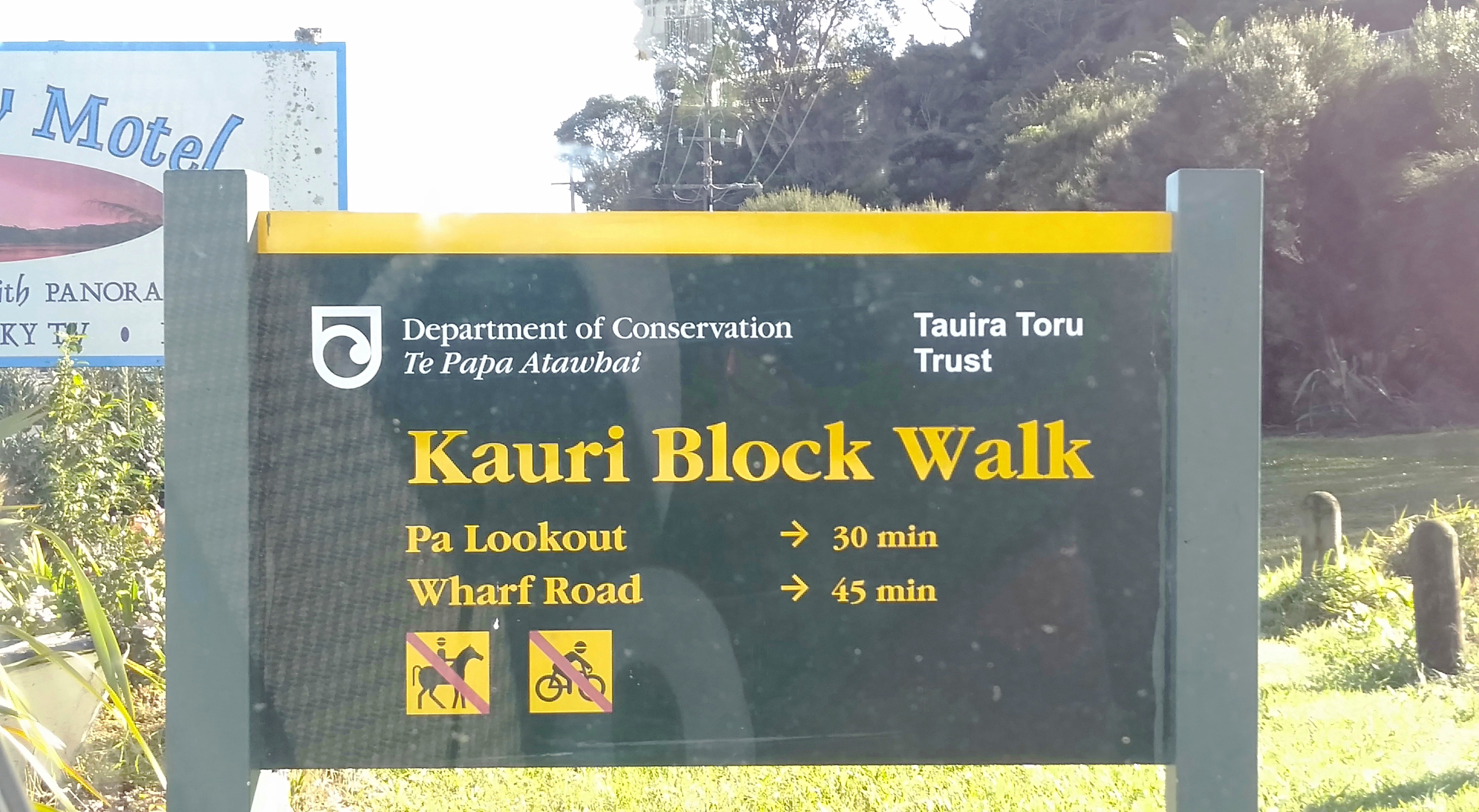 Cruising around the Coromandel: By car, bike and on foot, in Aotearoa ...