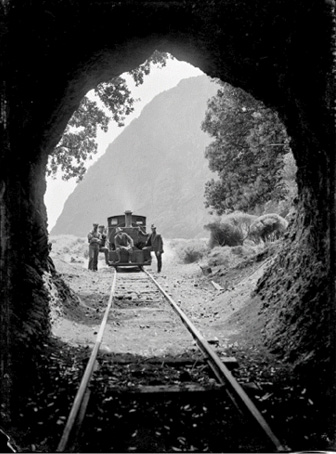 Auckland's Western Wilds - A Maverick Traveller