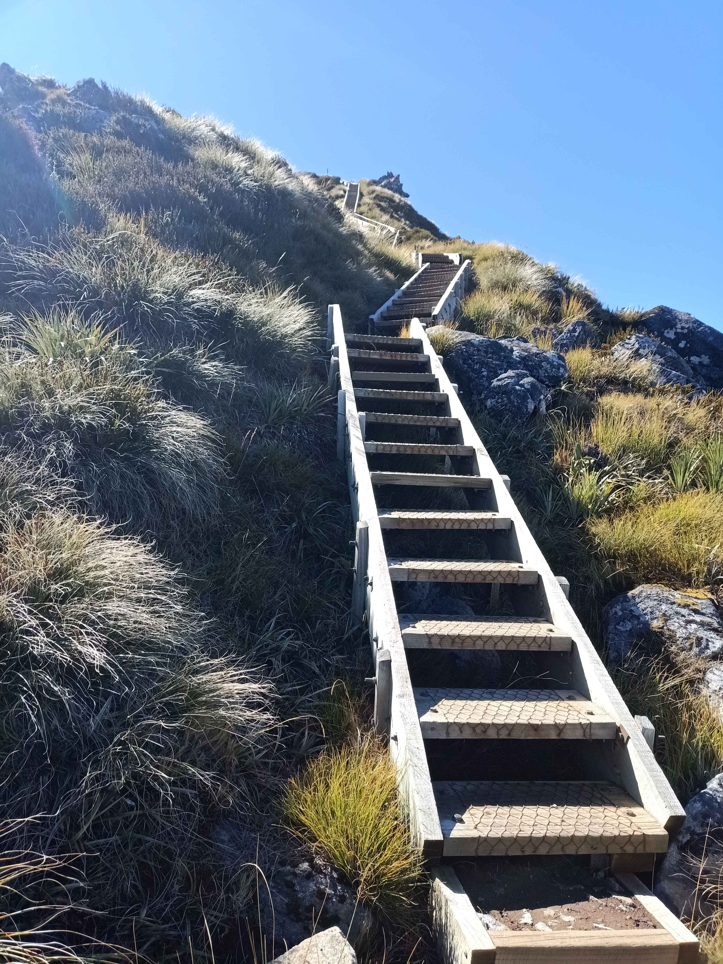 The Kepler Track: Just Divine Views - A Maverick Traveller
