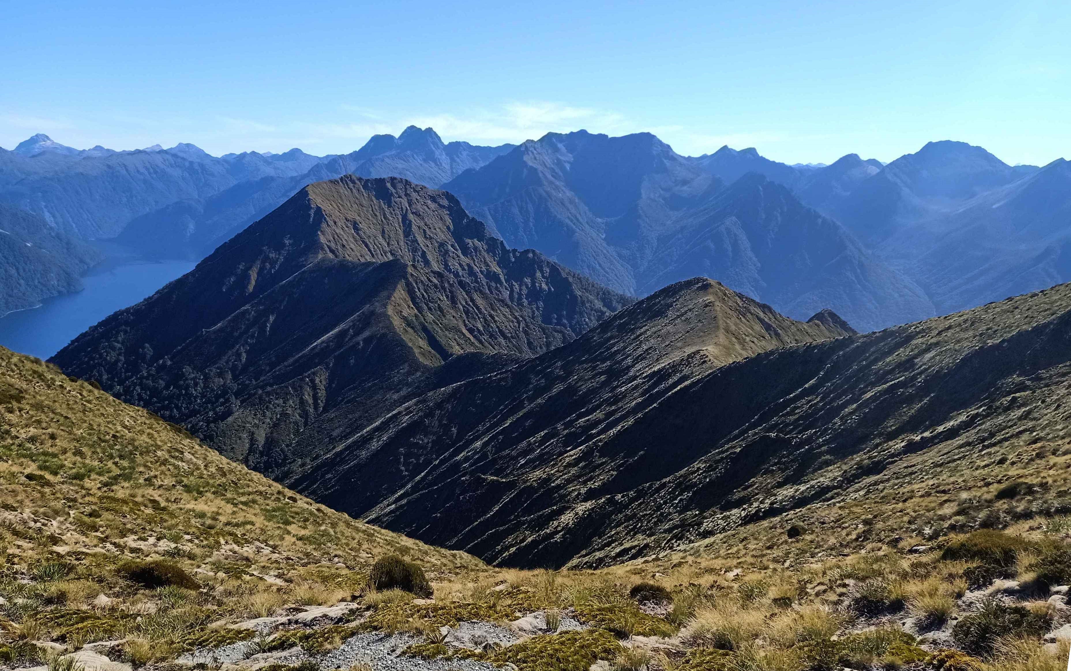 The Kepler Track: Just Divine Views - A Maverick Traveller
