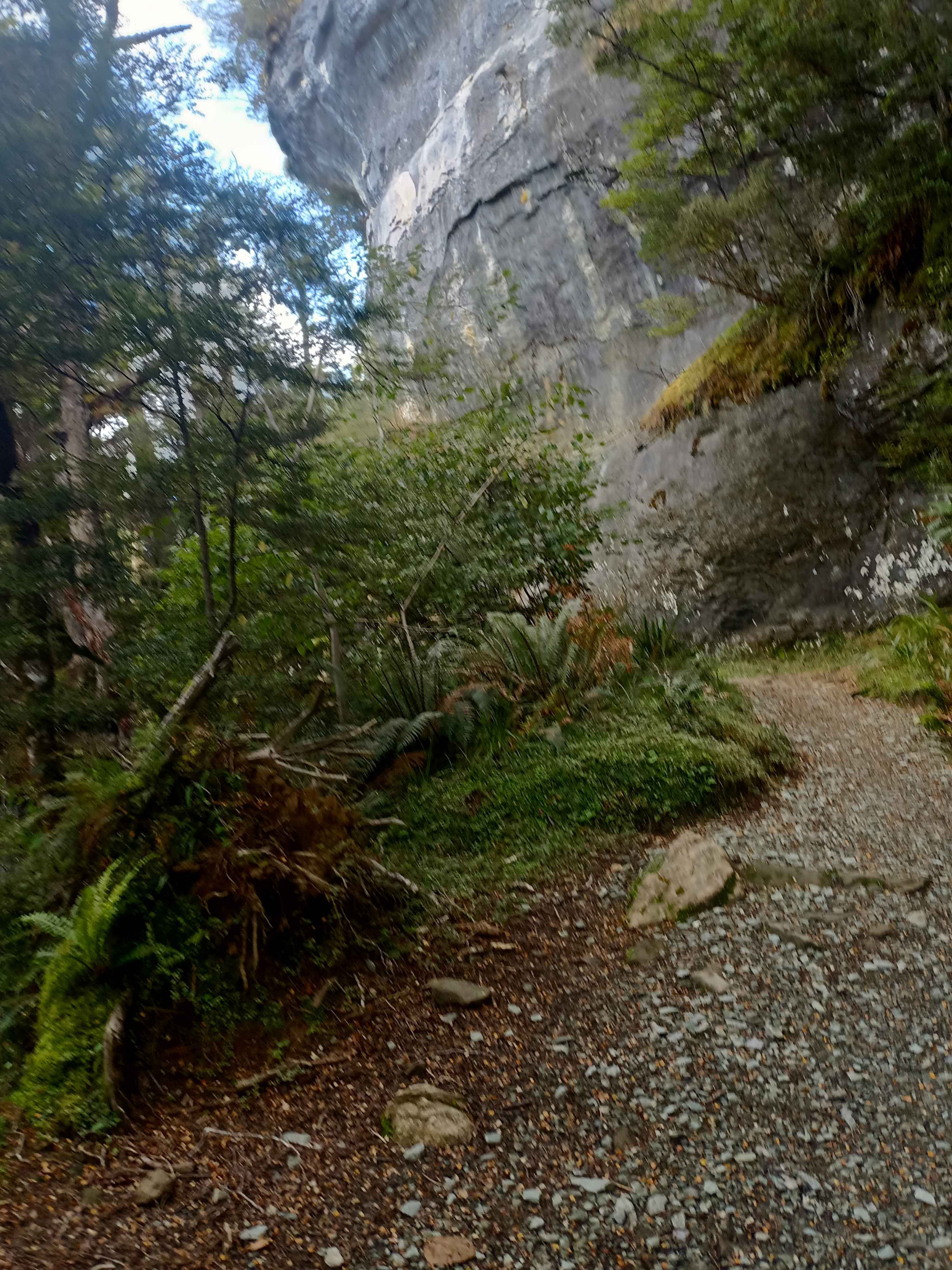 The Kepler Track: Just Divine Views - A Maverick Traveller