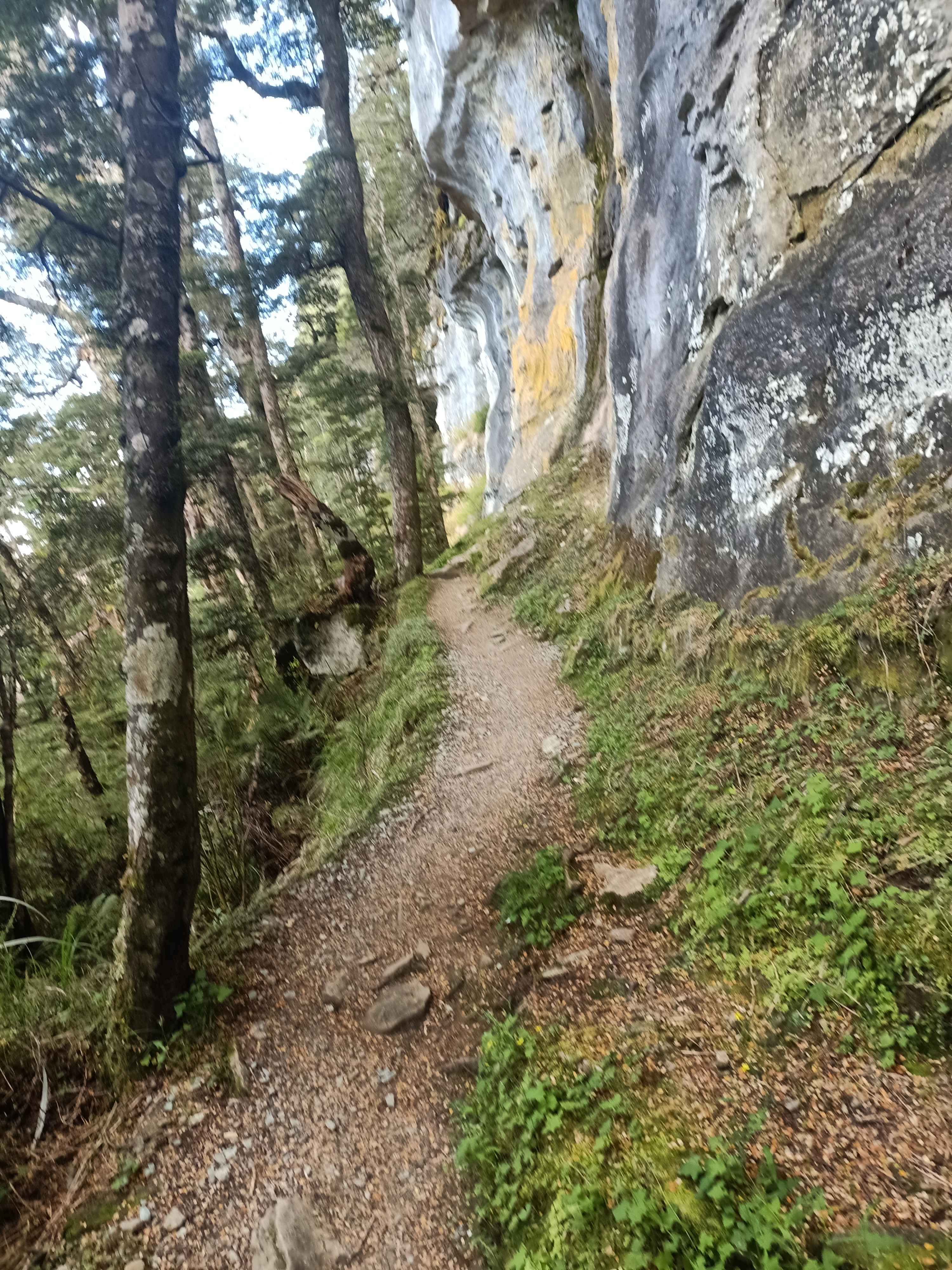 The Kepler Track: Just Divine Views - A Maverick Traveller