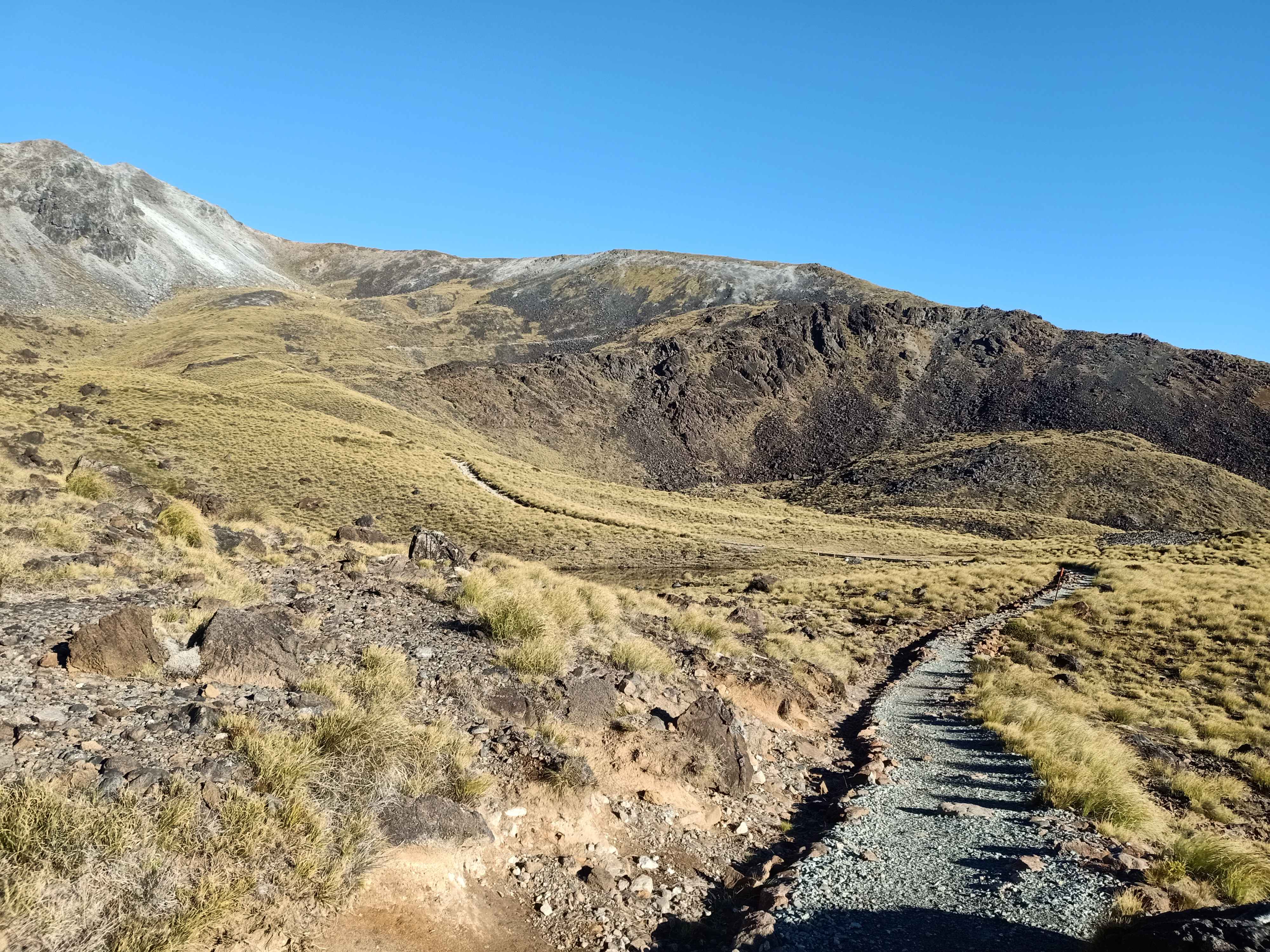 The Kepler Track: Just Divine Views - A Maverick Traveller