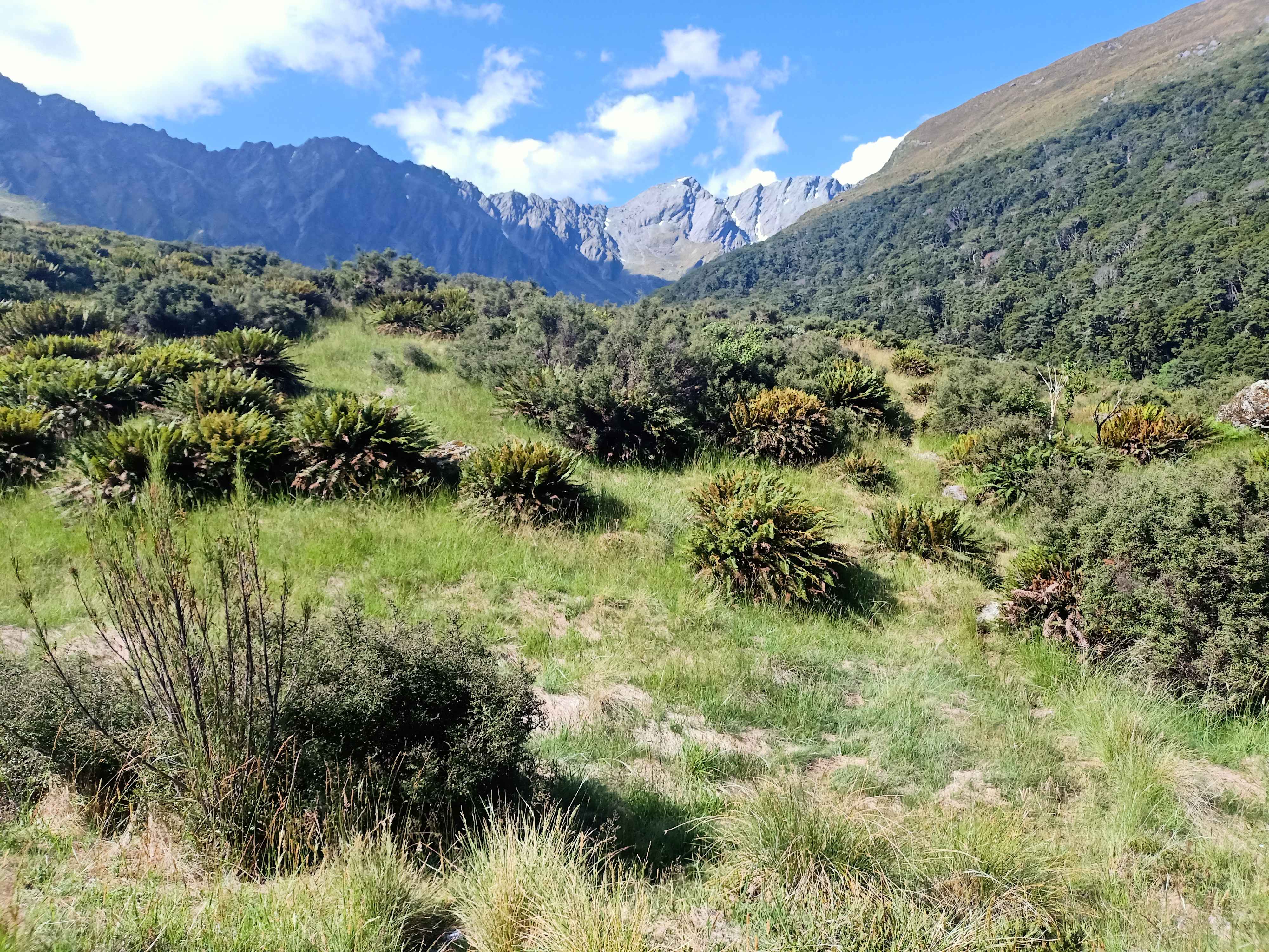 Rees-Dart: The Most Beautiful Glacier - A Maverick Traveller