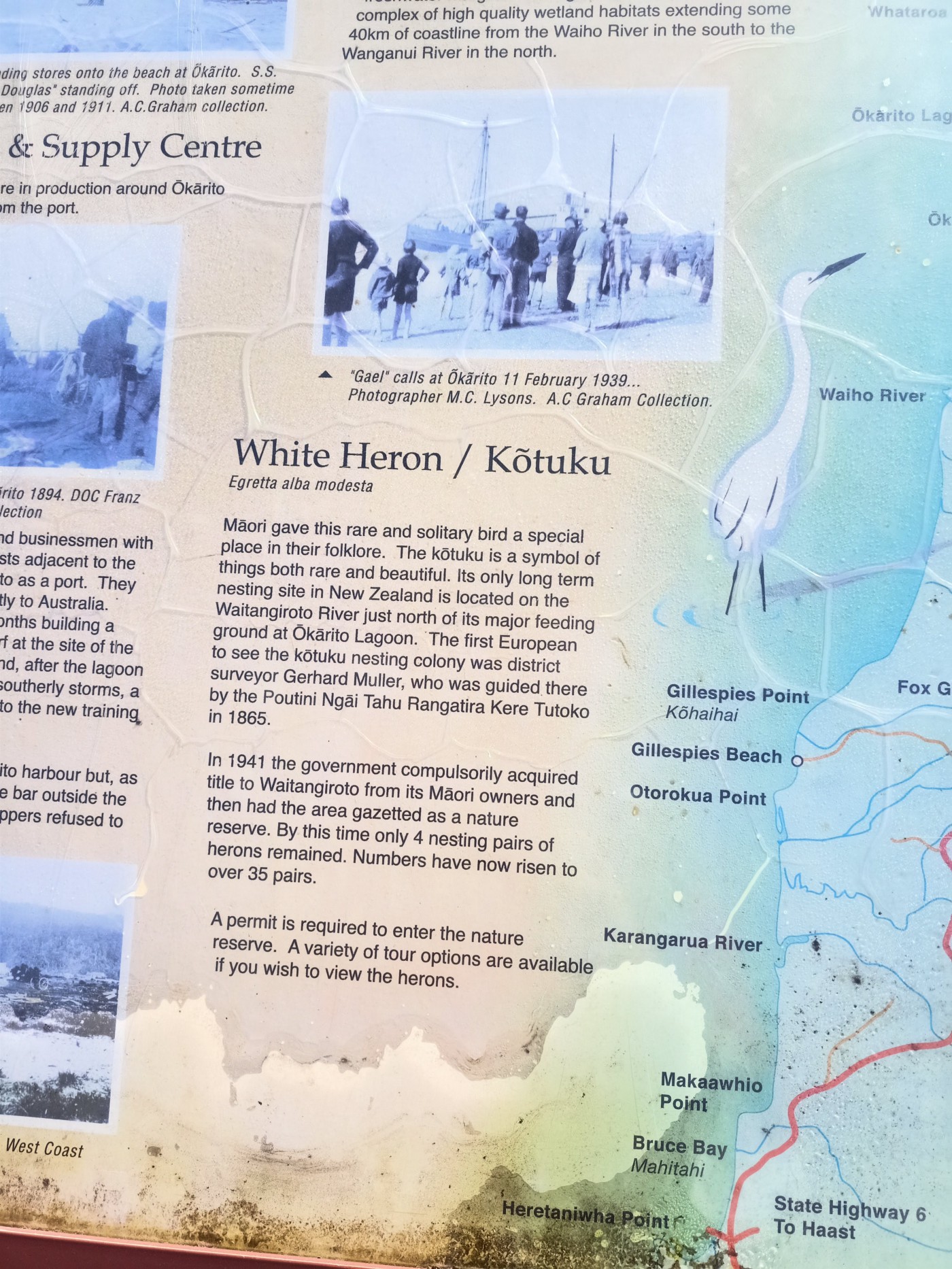 The Ōkārito Coast: Lagoons at the Feet of Glaciers - A Maverick Traveller