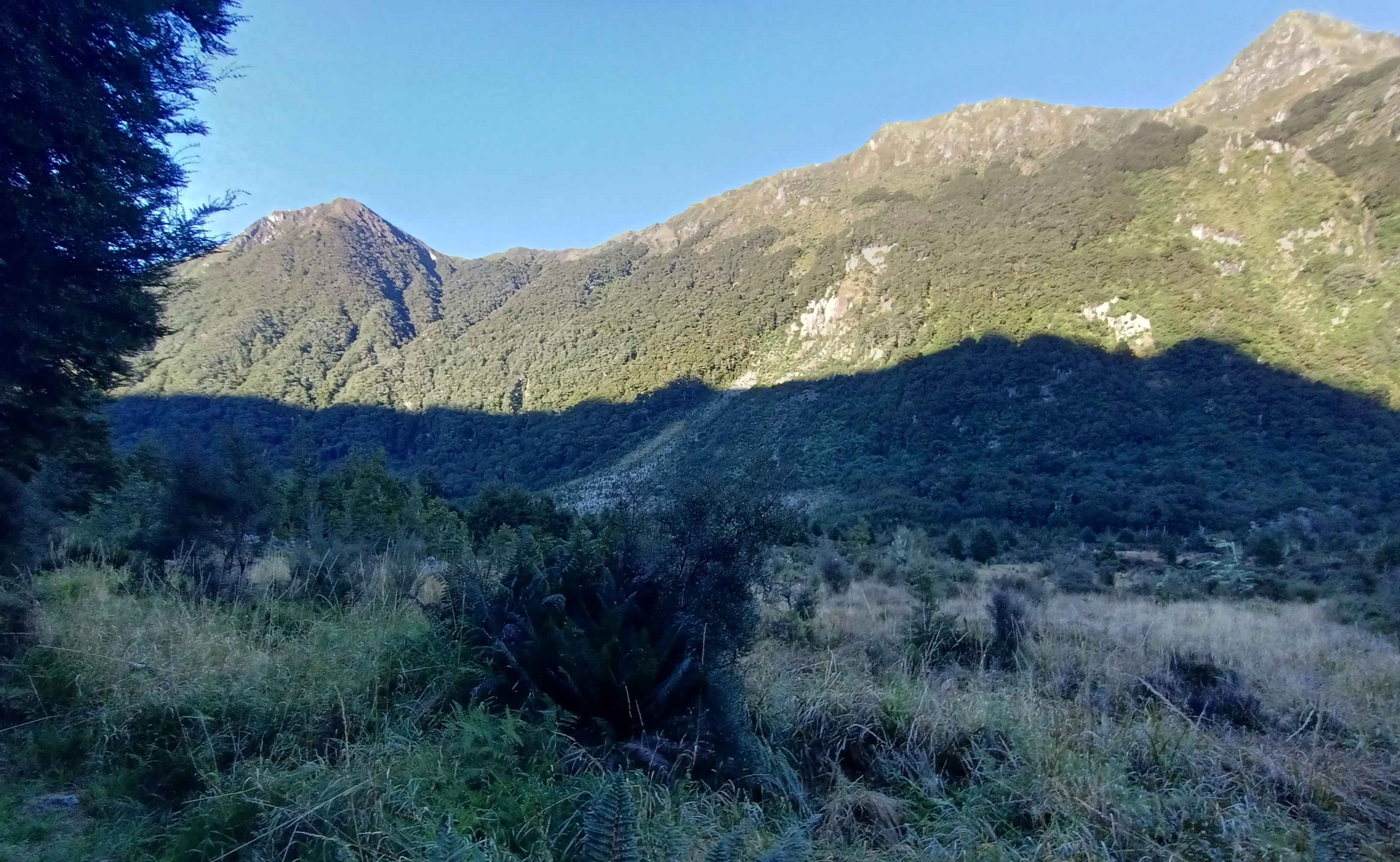 The Kepler Track: Just Divine Views - A Maverick Traveller