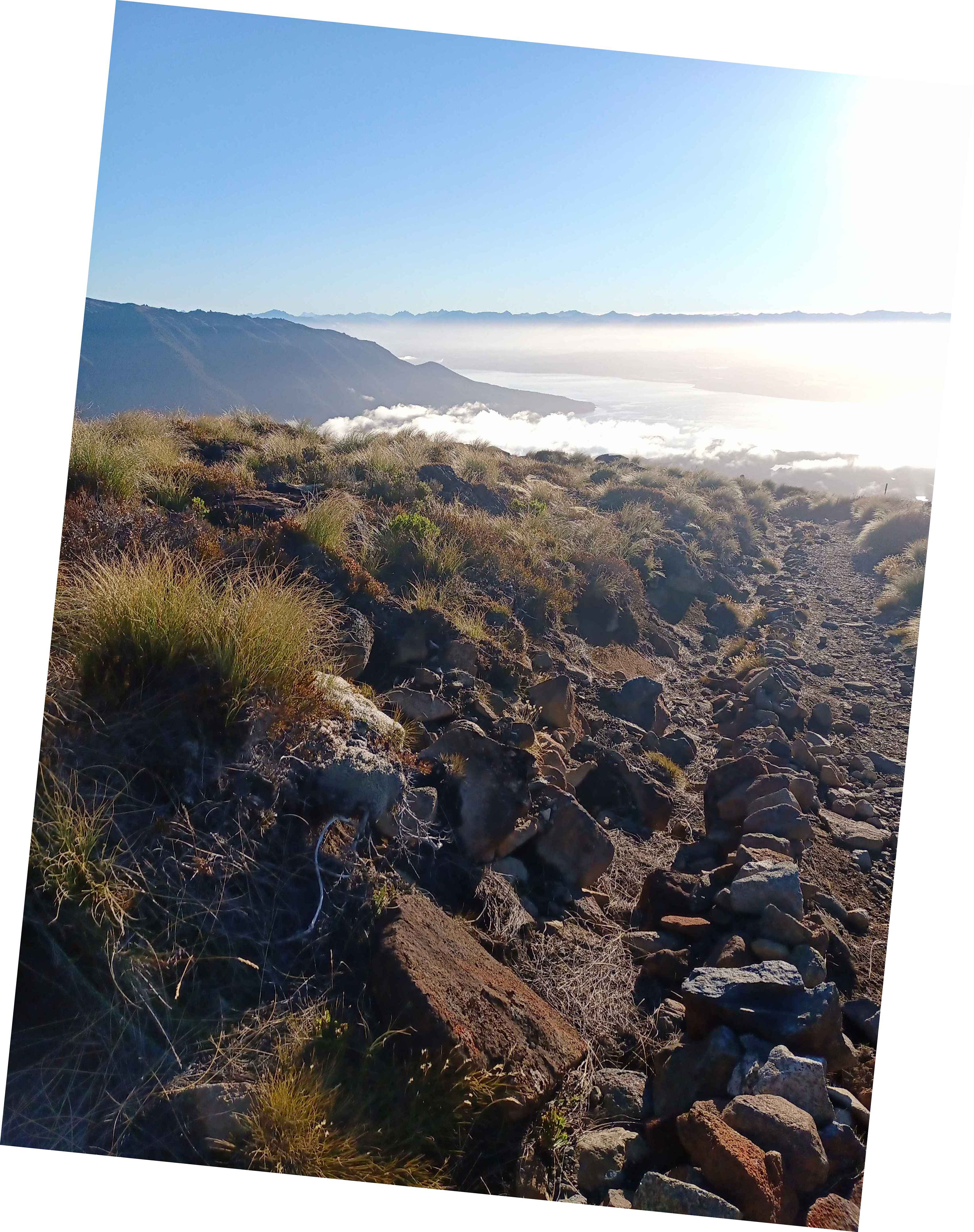 The Kepler Track: Just Divine Views - A Maverick Traveller